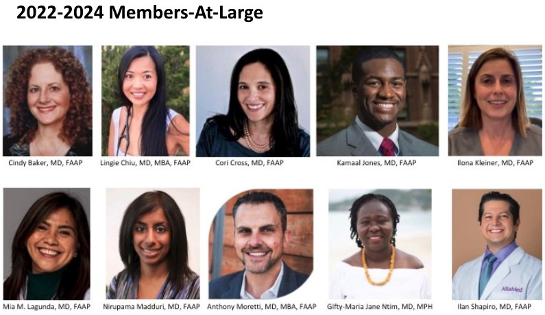 AAP-CA2 Board of Directors 2022-2024 – American Academy of Pediatrics